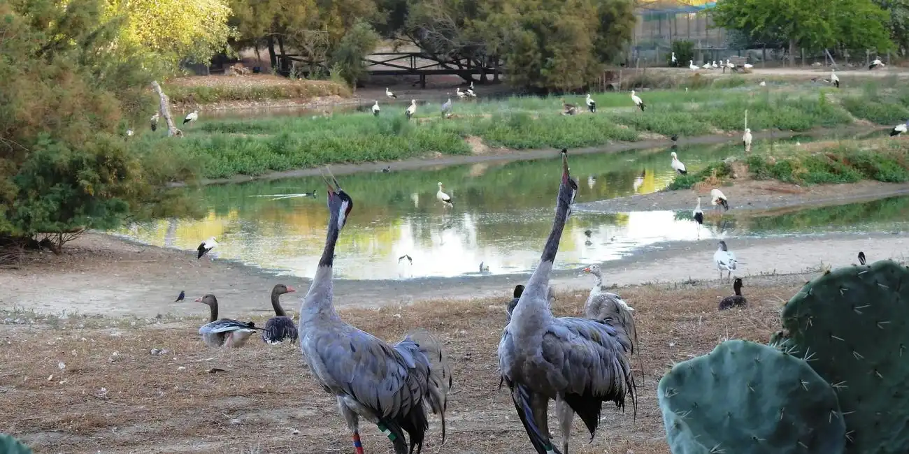 Cañada de los Pájaros Bird Reserve - La Puebla del Río, Spain | Seville ...